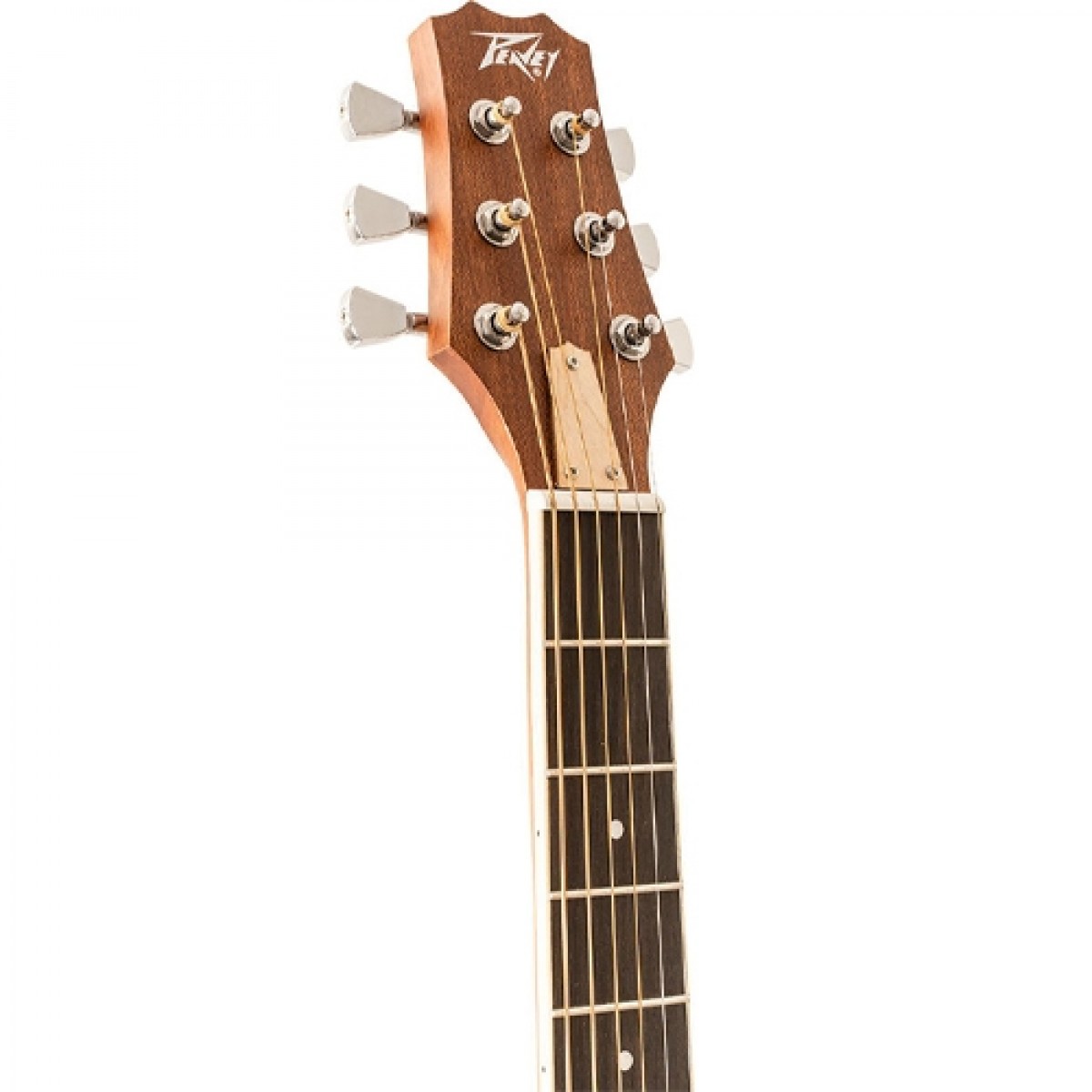 Guitar Shop | Sale On Now! | Peavey DW1 Delta Woods Series Dreadnought