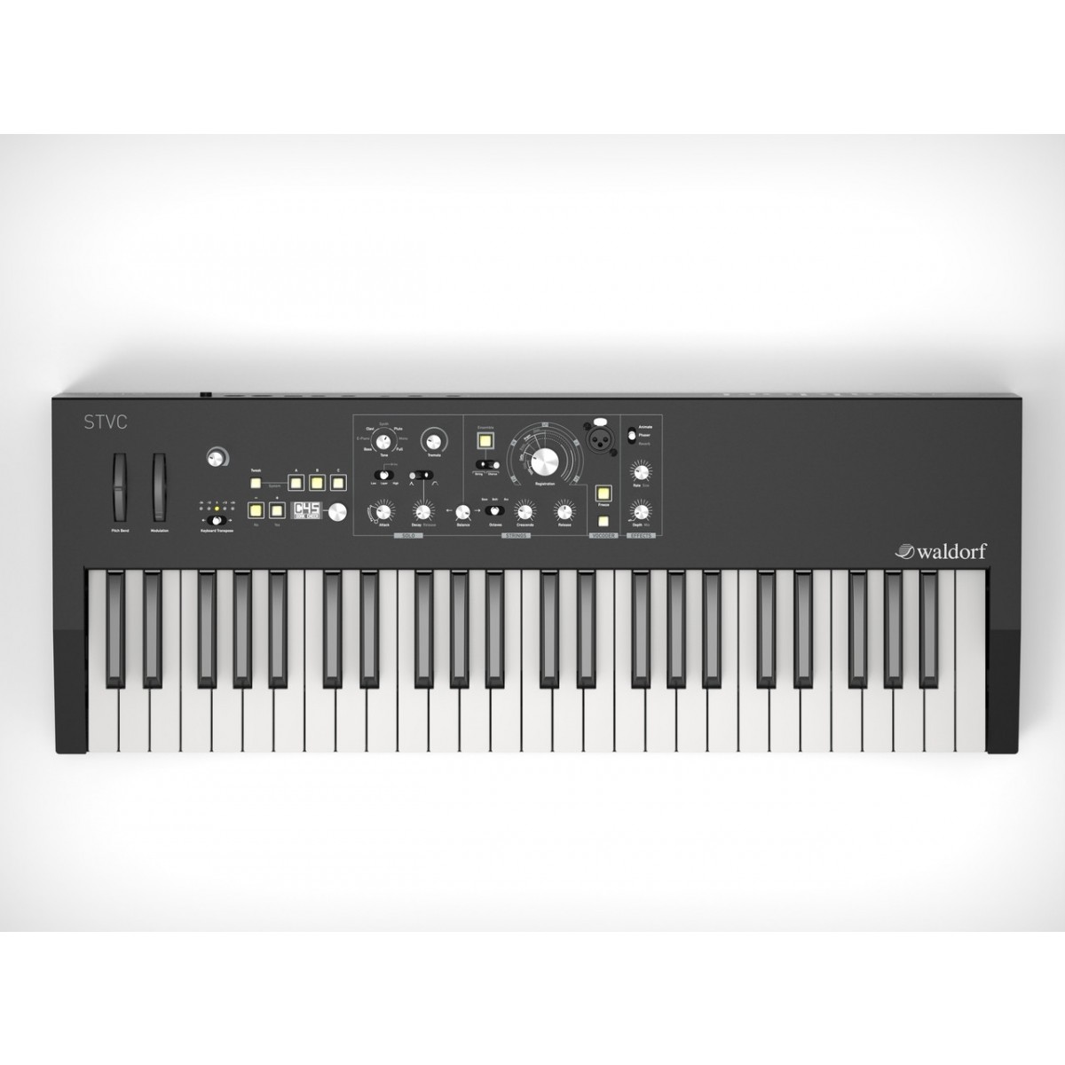 Pianos & Keys Shop | Buy Now | WALDORF STVC String Synth with Vocoder